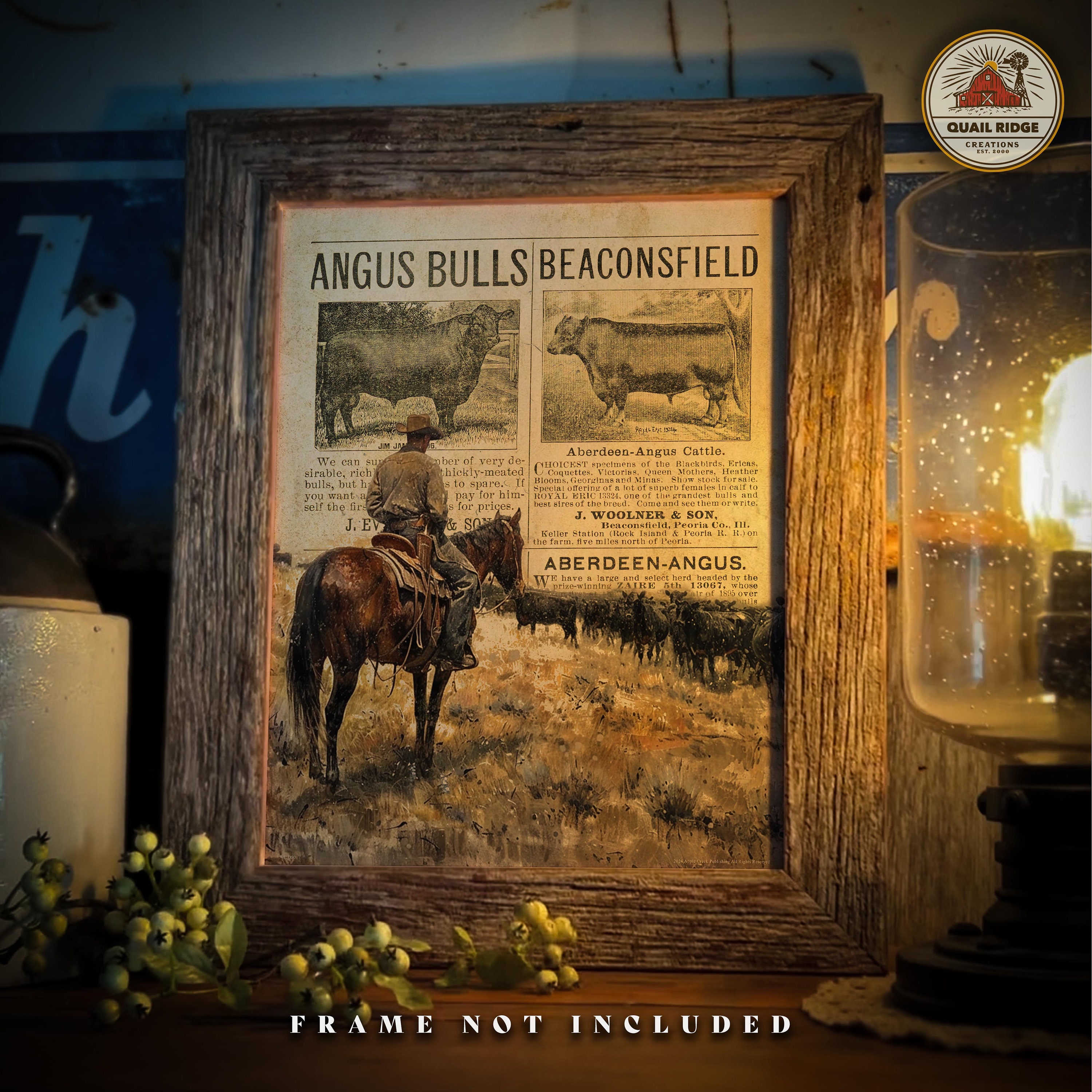 Vintage Black Angus Cattle Art Print: Western Ranch Decor (11x14 Unframed) - Etsy