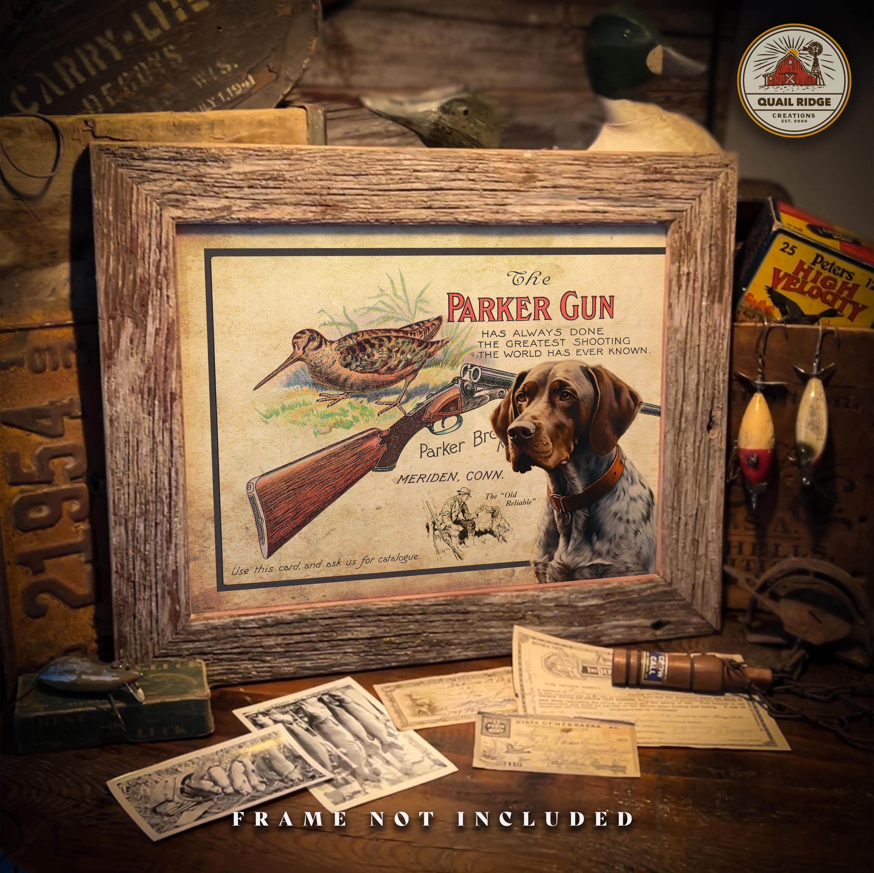 Vintage German Shorthair Hunting Dog Poster Art Print 11x14 Parker Gun ...