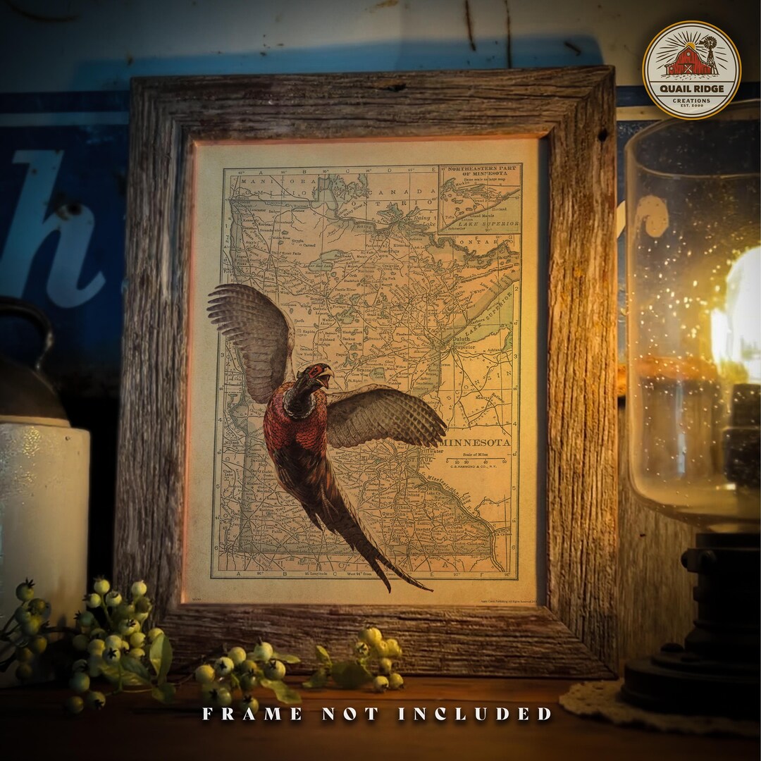 Vintage Minnesota Map Art Print: Pheasant Hunting Decor (11x14 Unframed ...