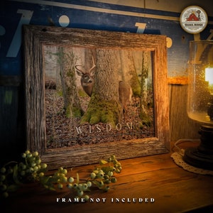 Whitetail Deer Art Motivational Poster Art Print 11x14 Unframed Deer ...