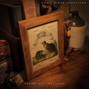 Vintage Animal Trap Patent Art Print 8x10 Unframed Beaver Trapping ...