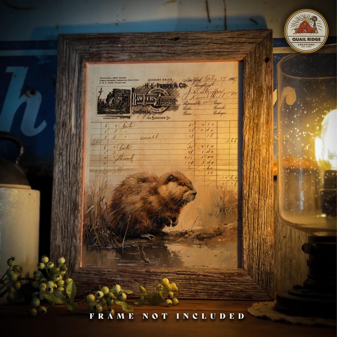Vintage Muskrat Trapping Invoice Art Print 11x14 Unframed Fur Trapping ...