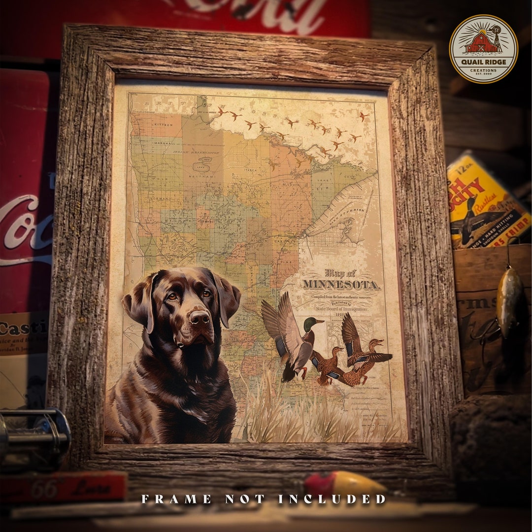 Vintage Minnesota Map Art Print: Chocolate Lab, Duck Hunting (11x14 ...