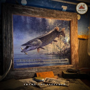 Muskie Art Print Motivational Poster 11X14 Unframed Wildlife Musky ...