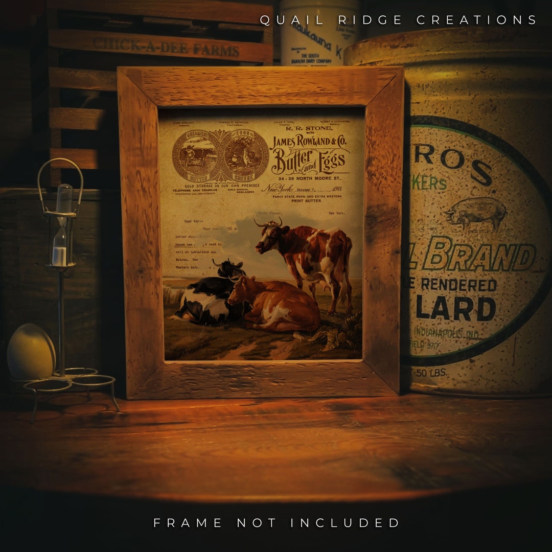 Vintage Cattle Ranch Art Print: Dairy Cows, Western Farmhouse Decor - Etsy