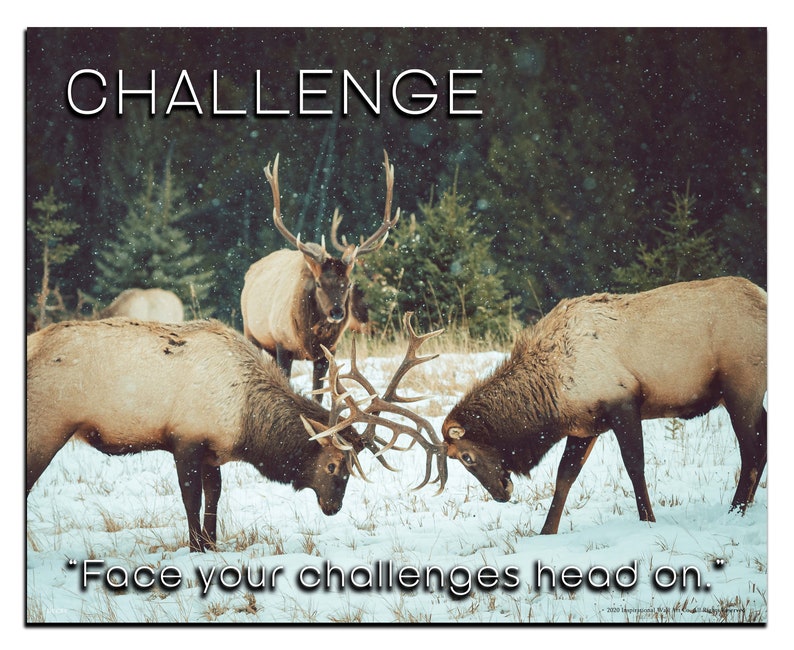 Elk Challenge Art Print: Motivational Wildlife Decor (8x10 Unframed) - Etsy