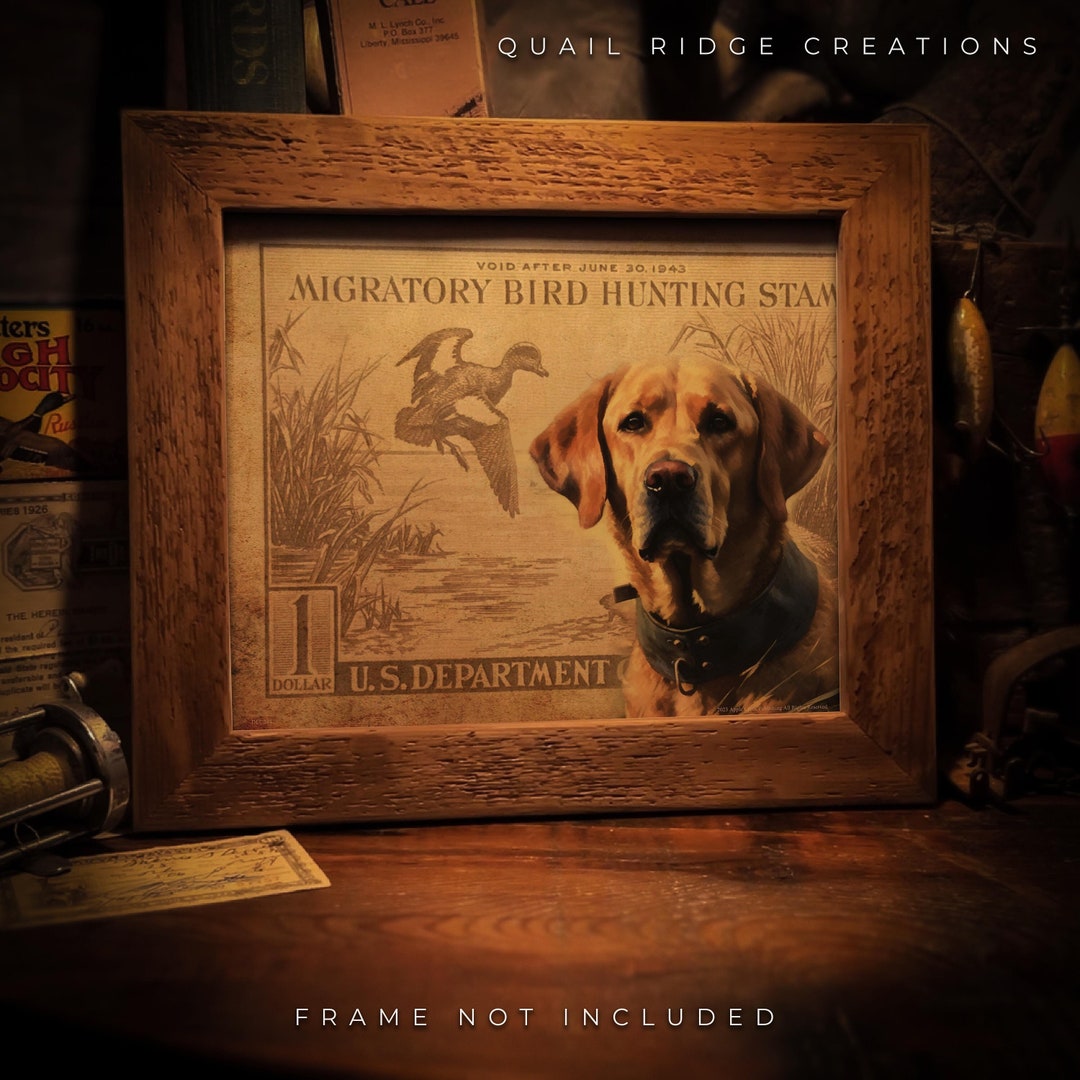 Vintage Yellow Lab Hunting Dog Poster Art Print 8x10 Unframed Duck ...