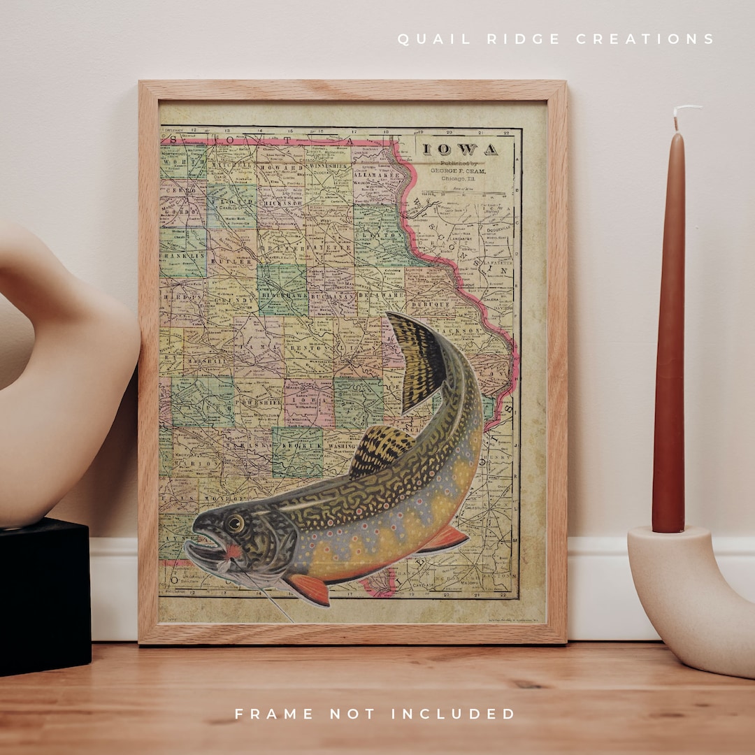 Vintage Iowa Map Art Print 11X14 Unframed Wildlife Brook Trout - Etsy