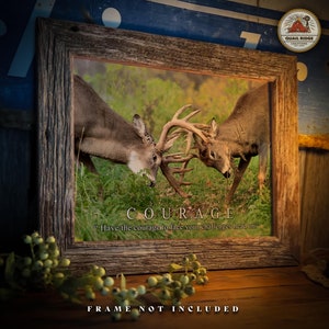 Whitetail Deer Art Motivational Poster Art Print 11x14 Unframed Deer ...