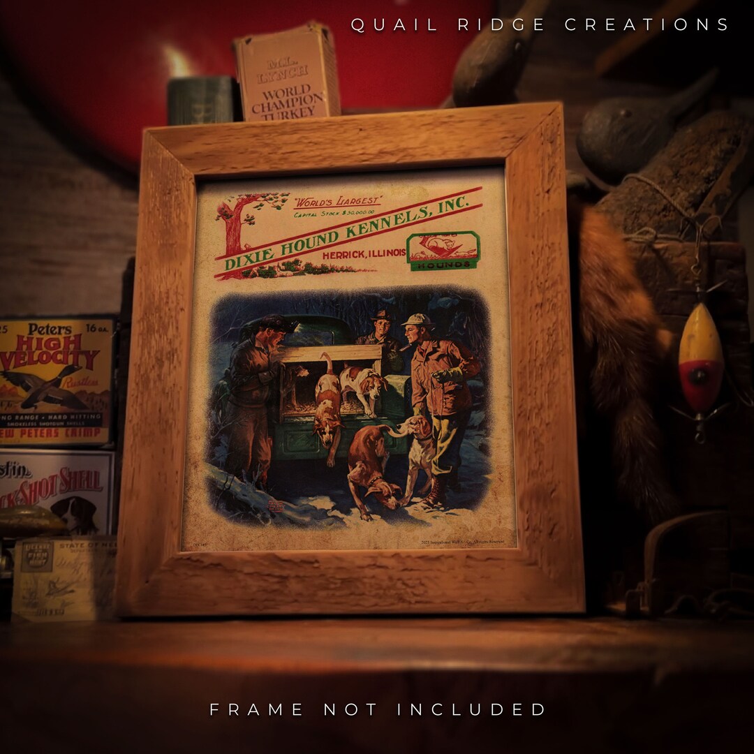 Vintage Raccoon Hunting Trapping Art Print 8x10 Unframed Walker Hounds ...