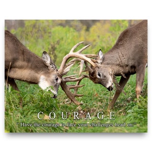 Whitetail Deer Art Motivational Poster Art Print 11x14 Unframed Deer ...