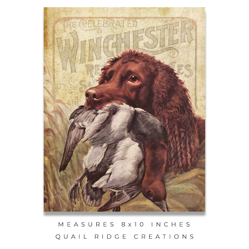 Vintage Winchester Shotgun Shell Box Advertising Art Print - Etsy