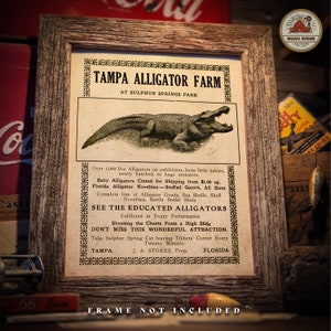 Vintage Tampa Alligator Farm Advertising Art Print 11X14 Unframed ...