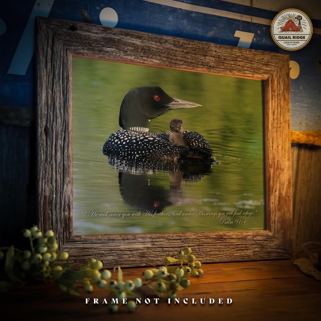 Common Loon Art Print 11x14 Unframed Wildlife Poster Religious Quote ...