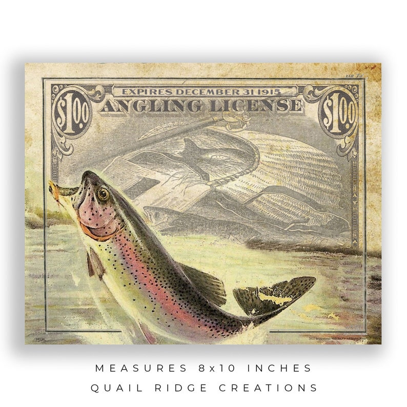 Vintage Fishing License Art Print 8x10 Unframed Rainbow Trout - Etsy