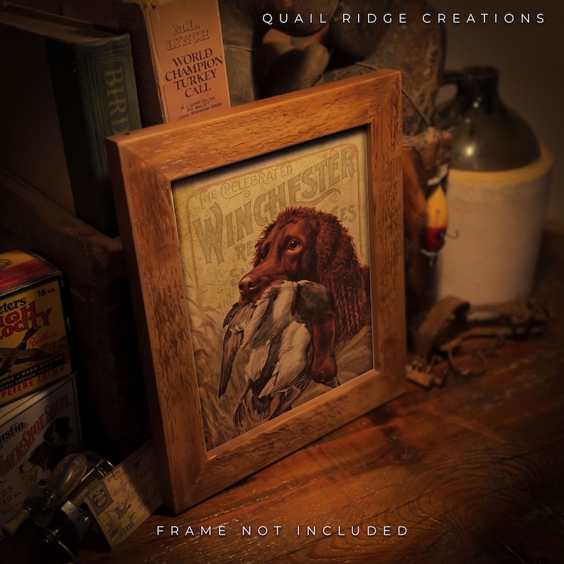 Vintage Winchester Shotgun Shell Box Advertising Art Print - Etsy