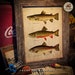 Vintage Trout Art Print: Fly Fishing Poster, Cabin Lake House Decor ...