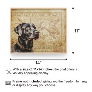Vintage Black Lab Hunting Dog Poster Art Print 11x14 Unframed Duck ...