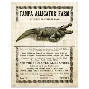 Vintage Tampa Alligator Farm Advertising Art Print 11X14 Unframed ...