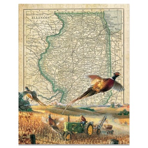 Vintage Illinois State Map Poster Art Print 11X14 Unframed Pheasant ...
