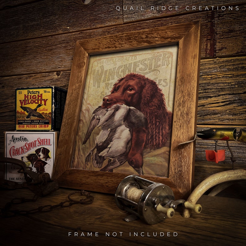 Vintage Winchester Shotgun Shell Box Advertising Art Print - Etsy