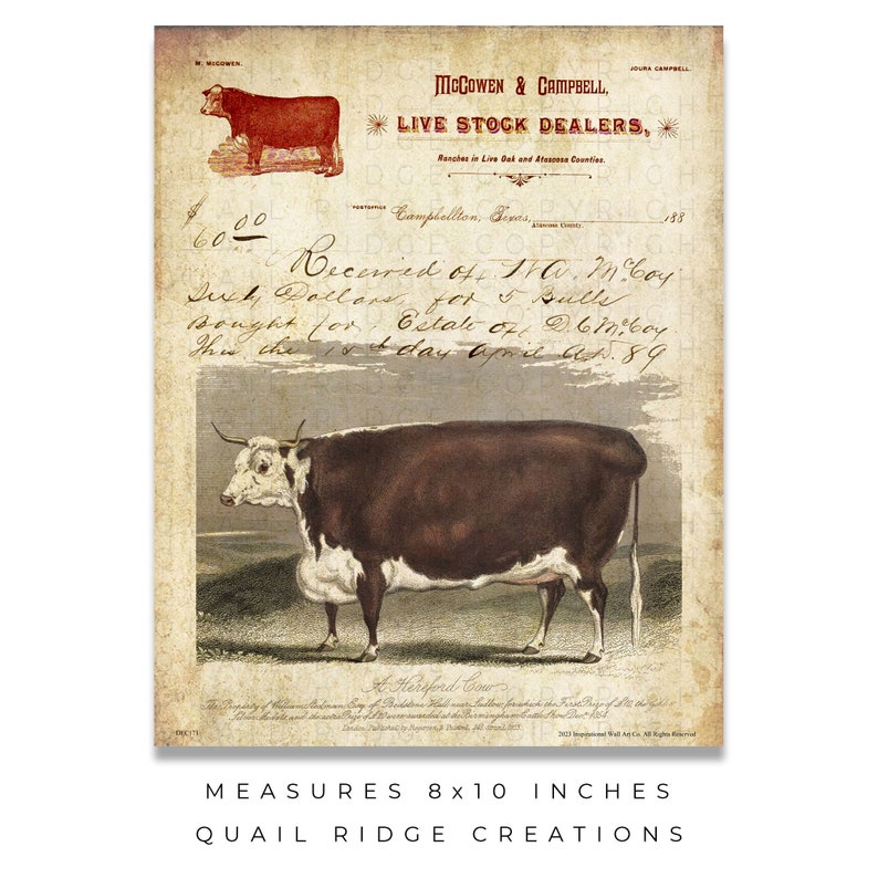 Vintage Hereford Cow Print: Cattle Rancher Advertising Art (8x10 ...