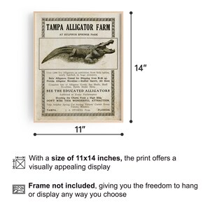 Vintage Tampa Alligator Farm Advertising Art Print 11X14 Unframed ...