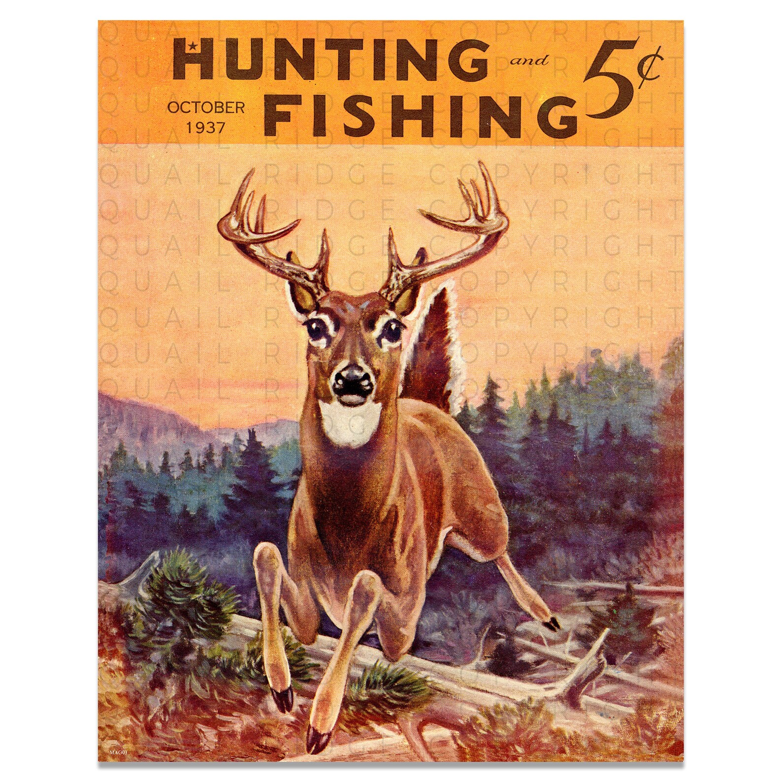 Vintage Whitetail Deer Art Print: Hunting & Fishing Magazine Cover ...