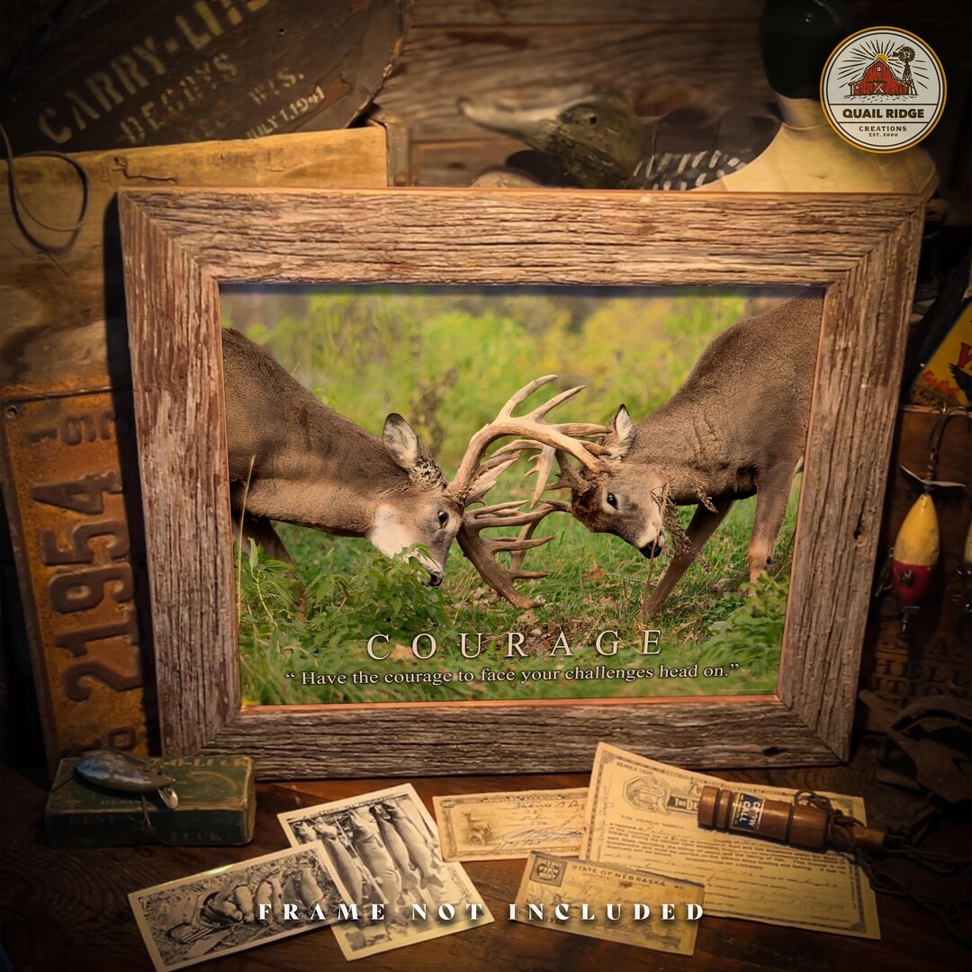 Whitetail Deer Art Motivational Poster Art Print 11x14 Unframed Deer ...