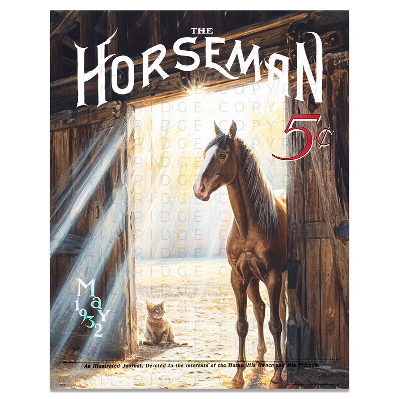 Vintage Horse Magazine Cover Art Print: Equestrian Wall Decor (11x14 ...