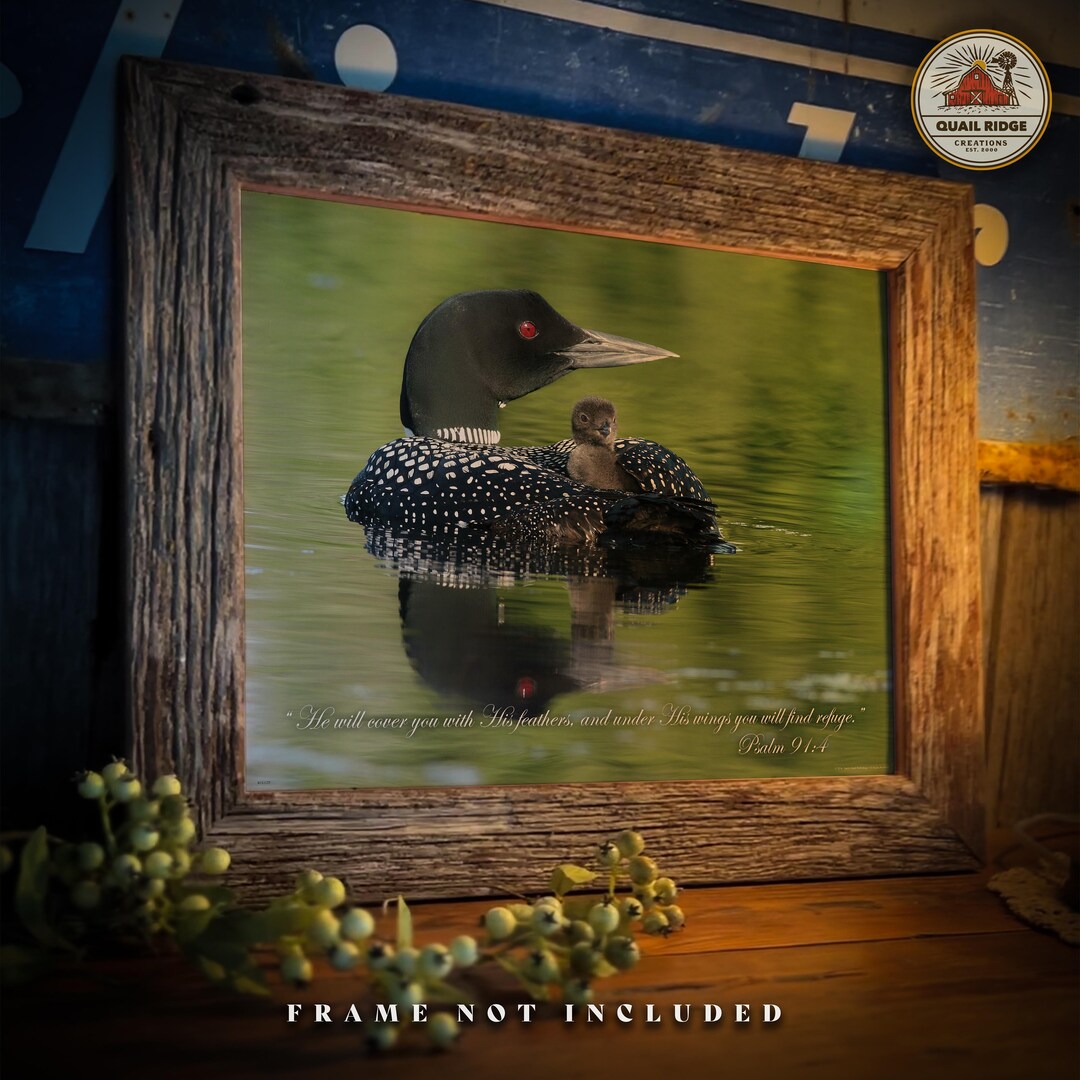 Common Loon Art Inspirational Religious Poster 11x14 Unframed Loon ...