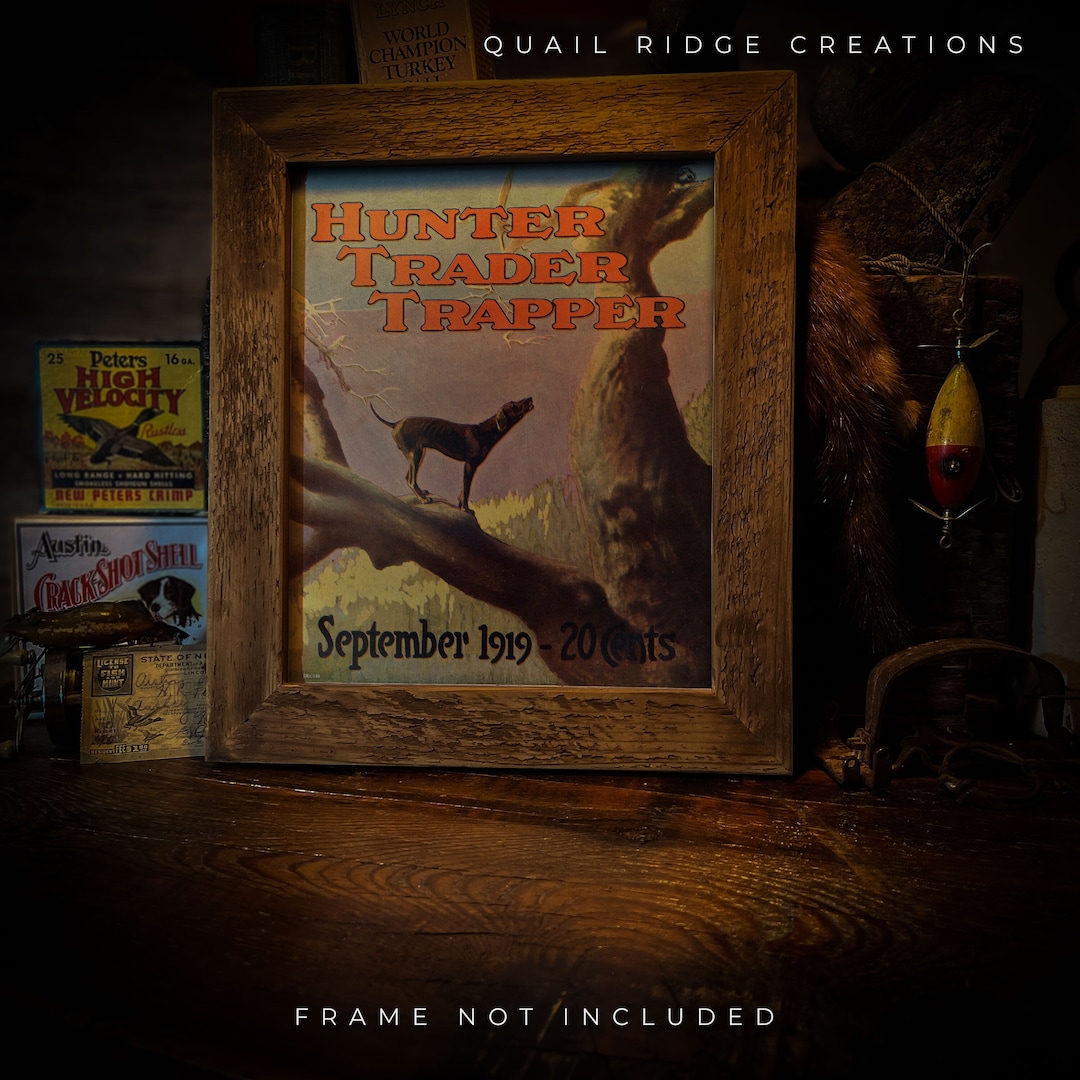 Vintage Raccoon Hunting Trapping Art Print 8x10 Unframed Walker Hounds ...