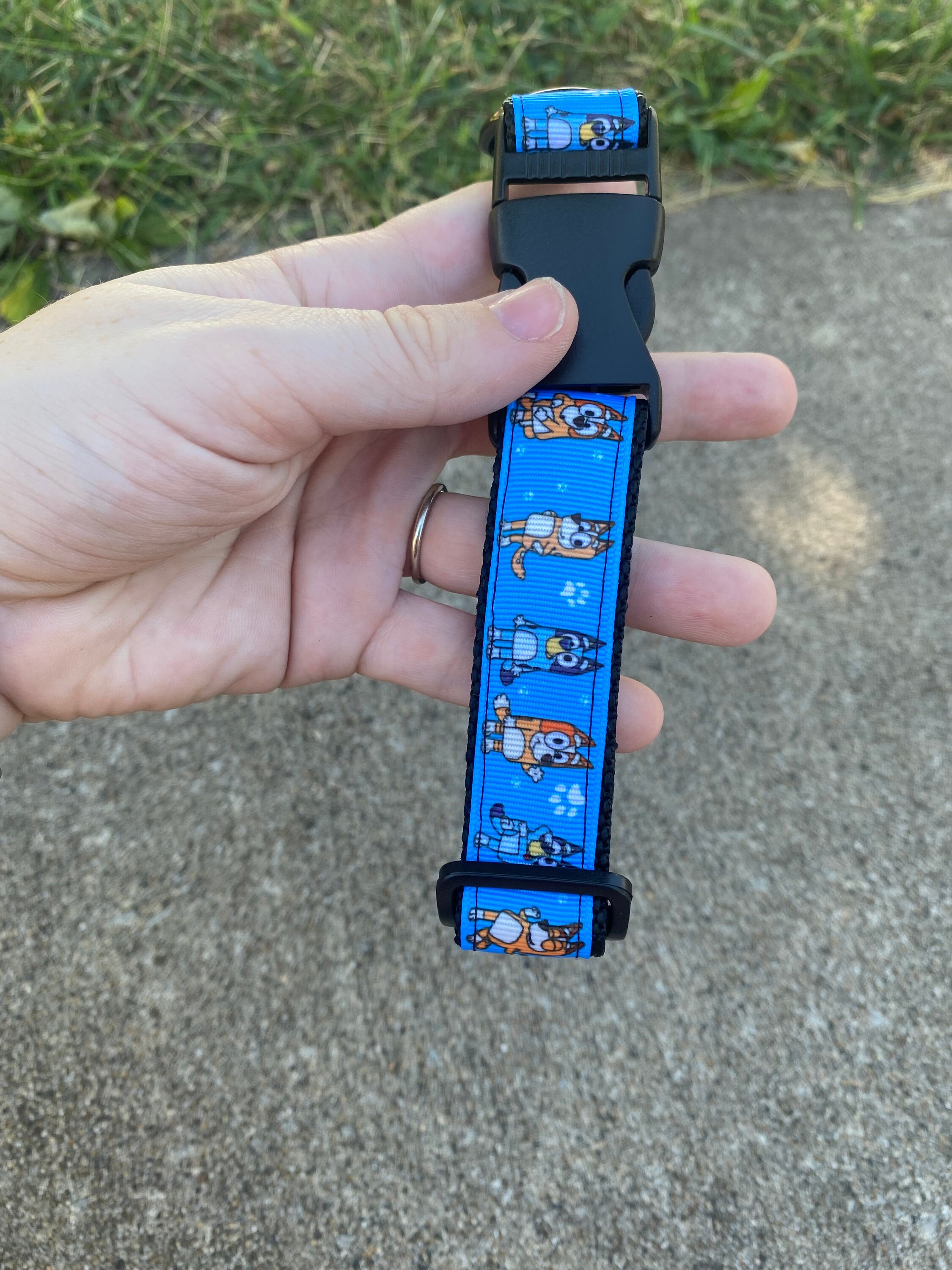 1 Bluey Dog Collar - Etsy