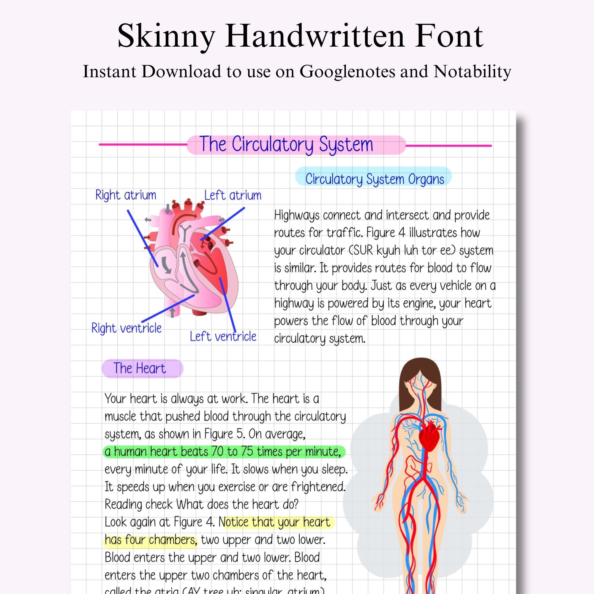 Skinny Handwritten Font | Font for Digital Planner | Student Note ...