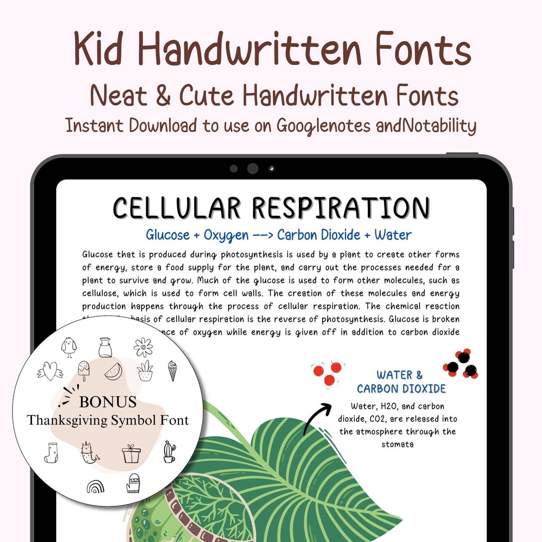 Neat Handwritten Font | Student Note Taking | Procreate Fonts ...