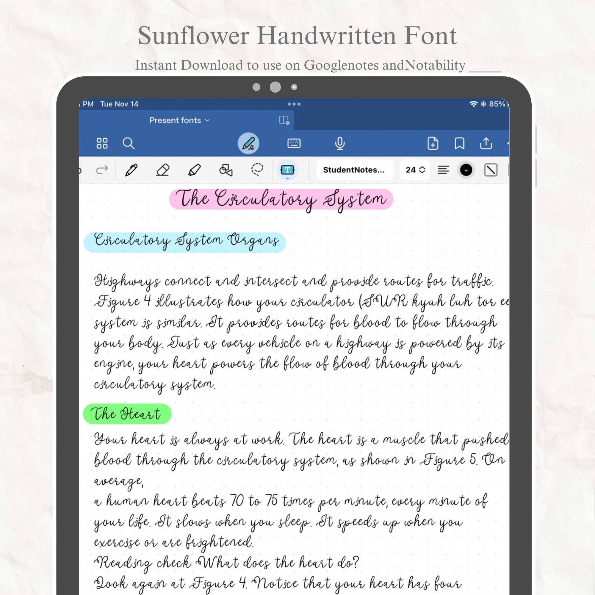 Sunflower Font - Handwritten Signature Script Font, Cursive Font, Chic ...