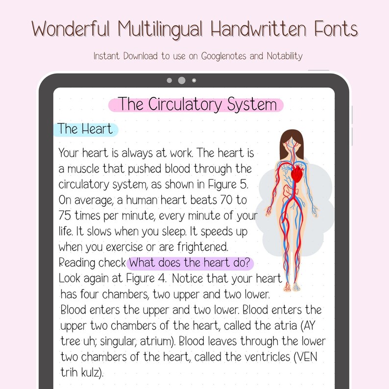 Font Duo, Realistic Fonts, Cute Fonts, Handwriting Fonts, Goodnotes ...