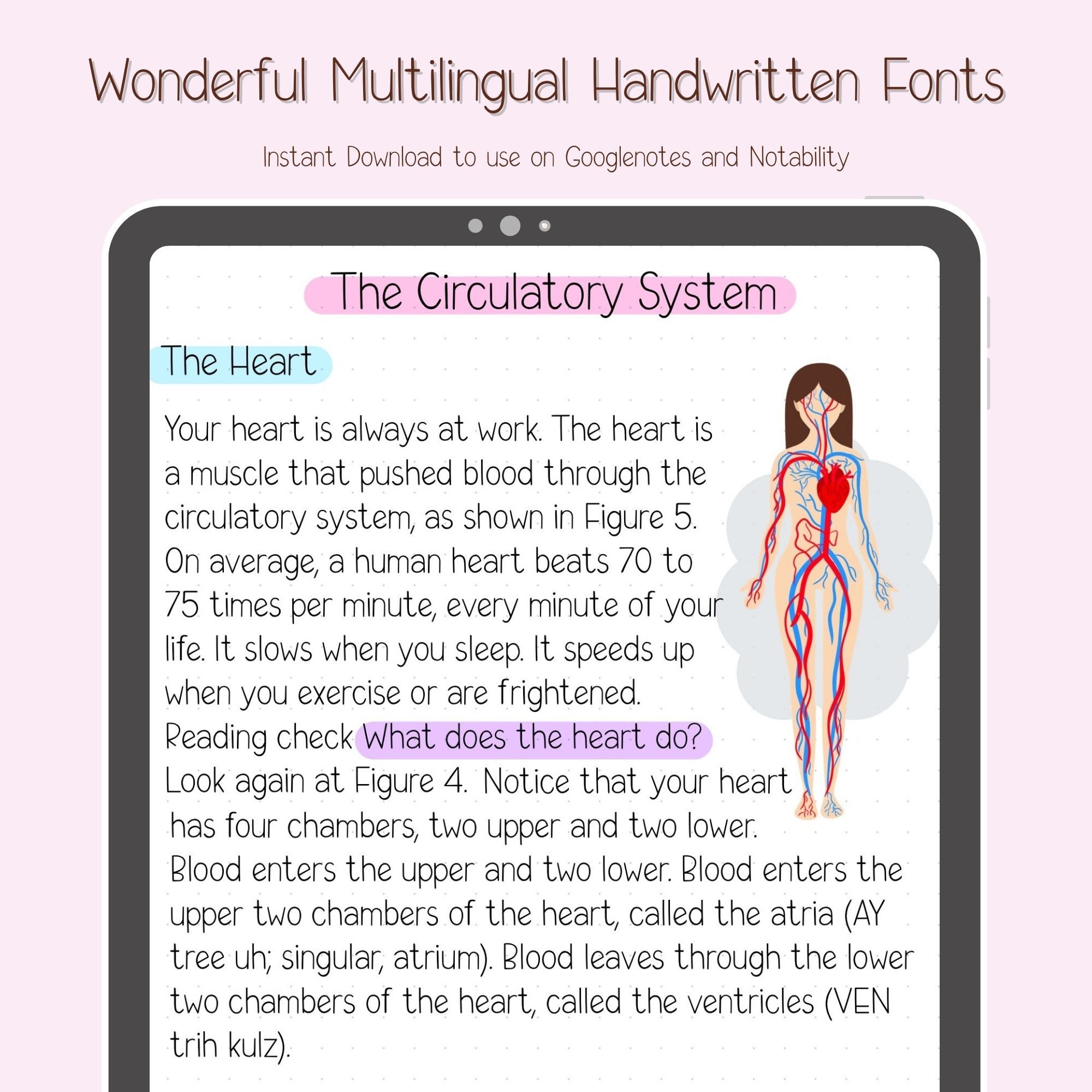 Font Duo, Realistic Fonts, Cute Fonts, Handwriting Fonts, Goodnotes ...