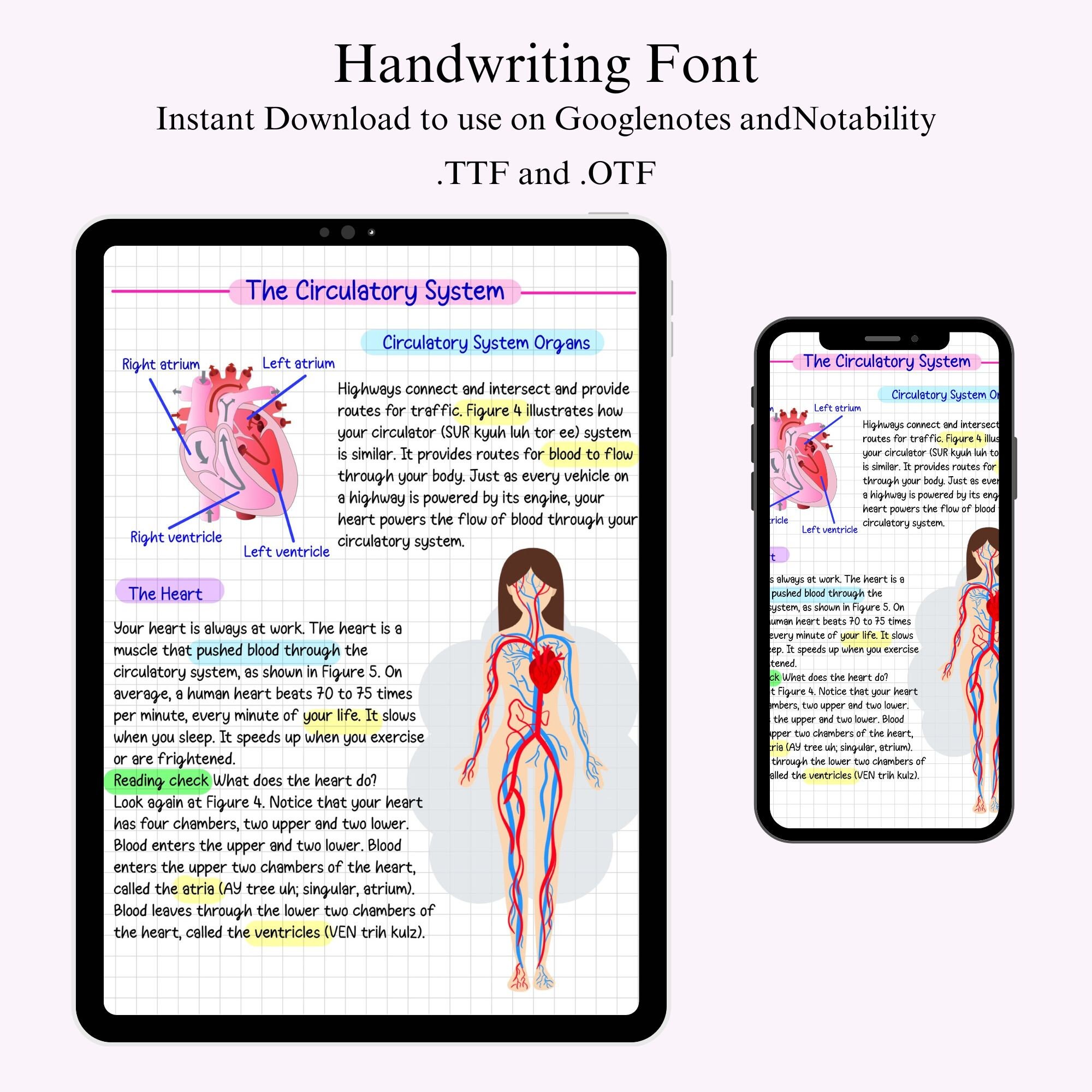 Realistic Handwritten Font for Digital Planner and Student Note Taking ...