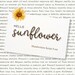 Sunflower Font - Handwritten Signature Script Font, Cursive Font, Chic ...