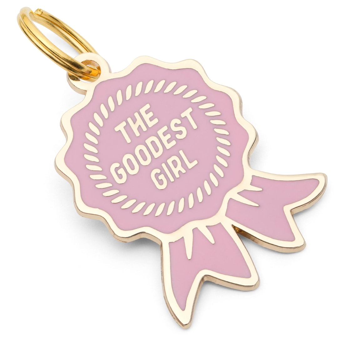 The Goodest Girl Dog Tag for Dogs, Award Ribbon Dog Tag, Pet ID Tag ...