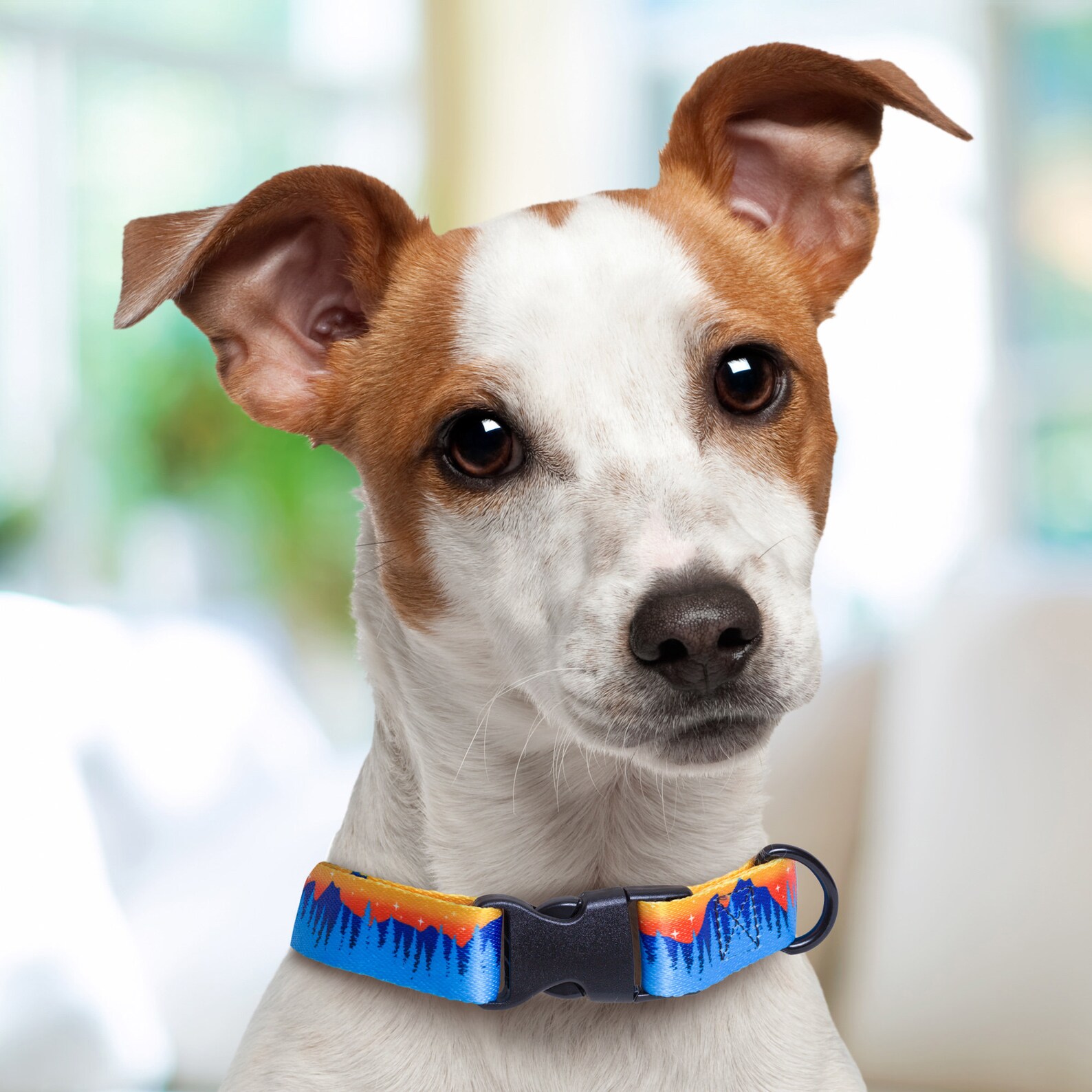 Mountain Dog Collar Personalized Dog Collar Landscape Custom Dog Collar ...