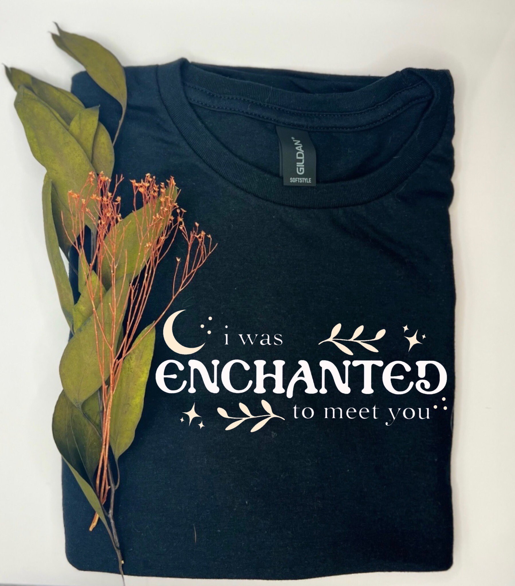 Enchanted Shirt Speak Now TS Shirt Taylor Swiftie Shirt - Etsy
