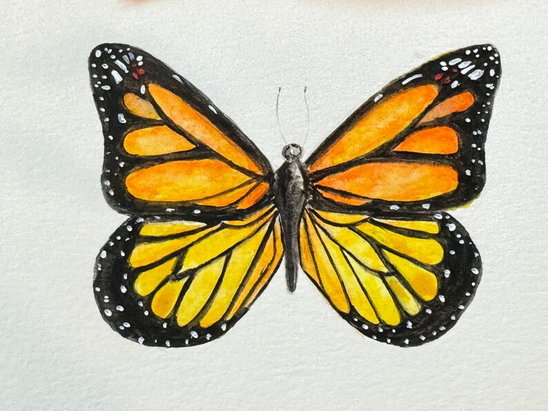 Monarch Butterfly Keepsake Greeting Card No. 1 (5 X 7) - Etsy