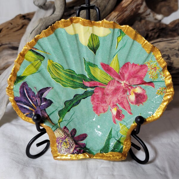 Seashell Decoupage - Etsy