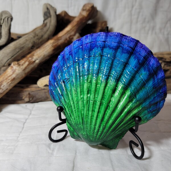 Painted Seashells - Etsy