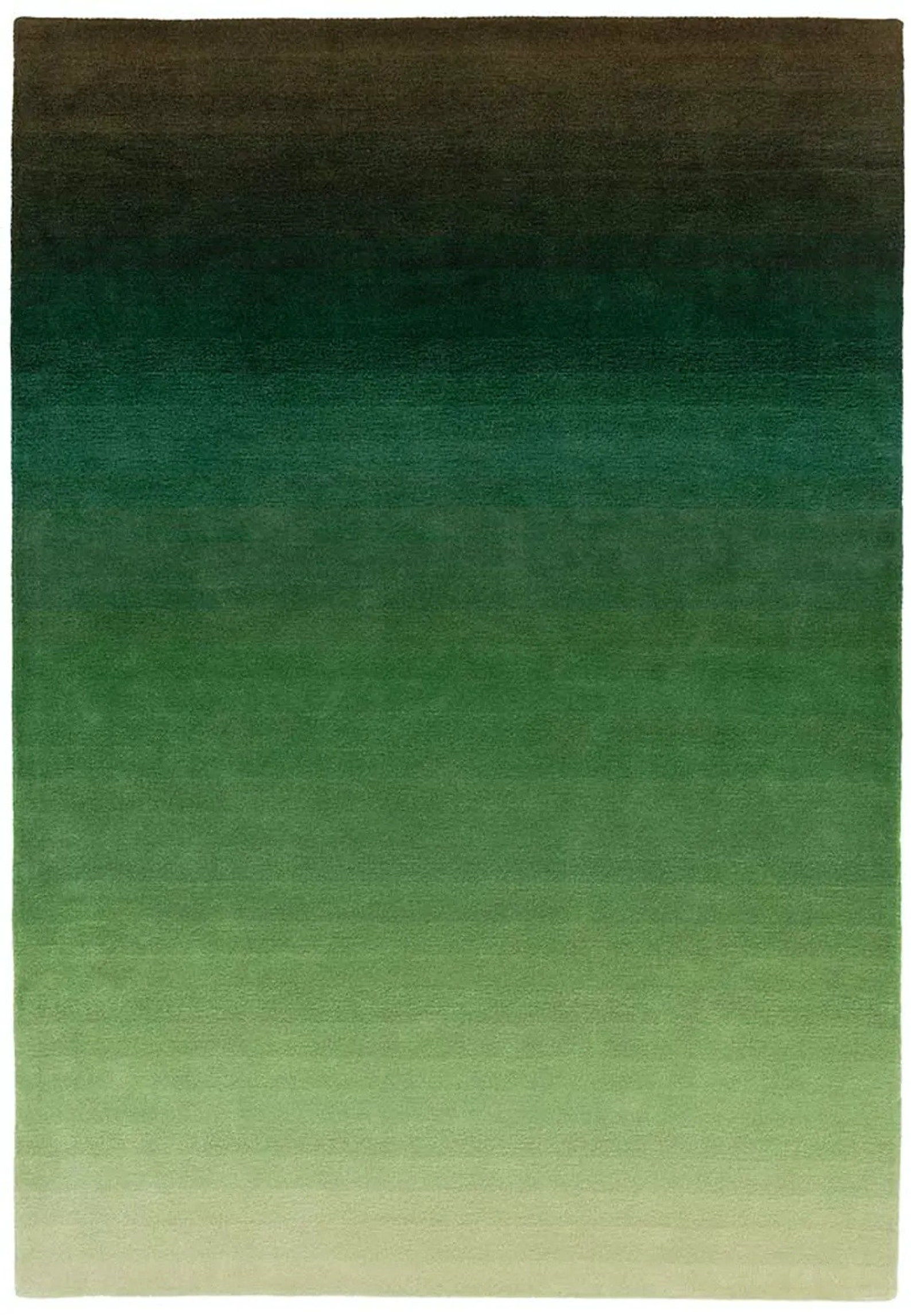 Wool Ombre Rug Living Room Rug Premium Wool Rug Forest Green Color Rug ...