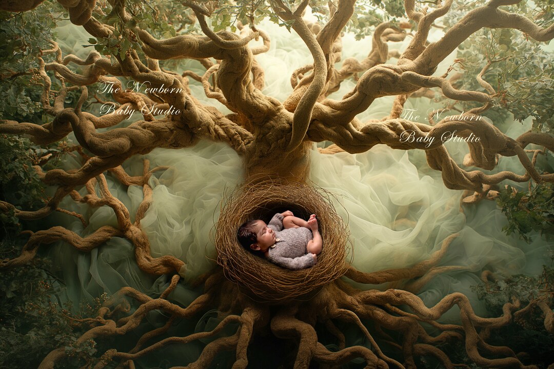 Newborn Digital Backdrop, Digital Backdrop Newborn, Newborn Digital ...