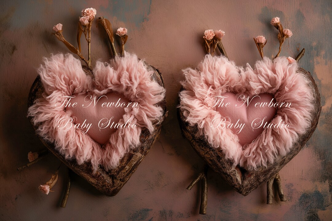 Newborn Digital Backdrop for Twins, Twin Girl Backdrop, Hearts Backdrop ...