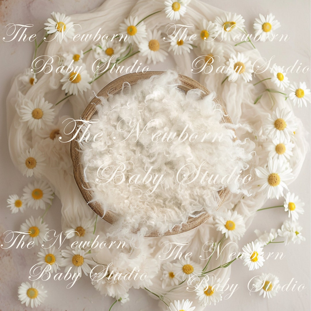 Newborn Digital Backdrop With Daisies, Digital Backdrop Newborn ...